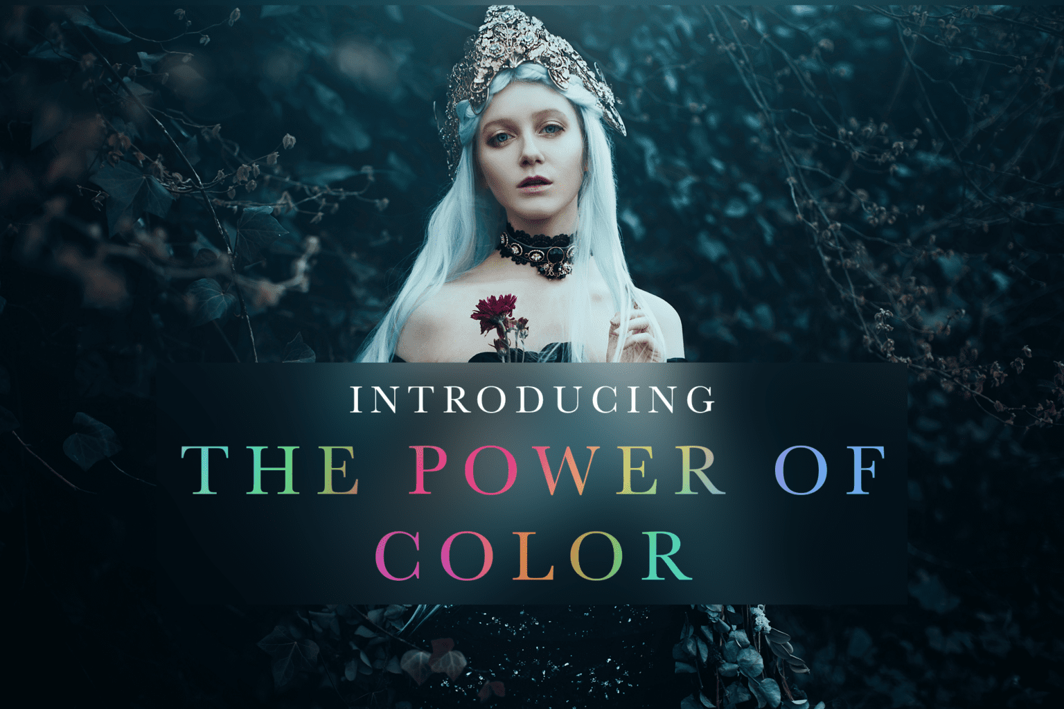 The Power of Color to Transform Your Images