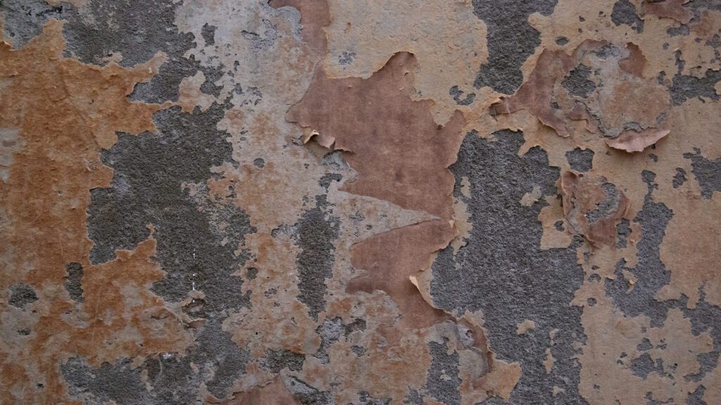 The Texture Collection