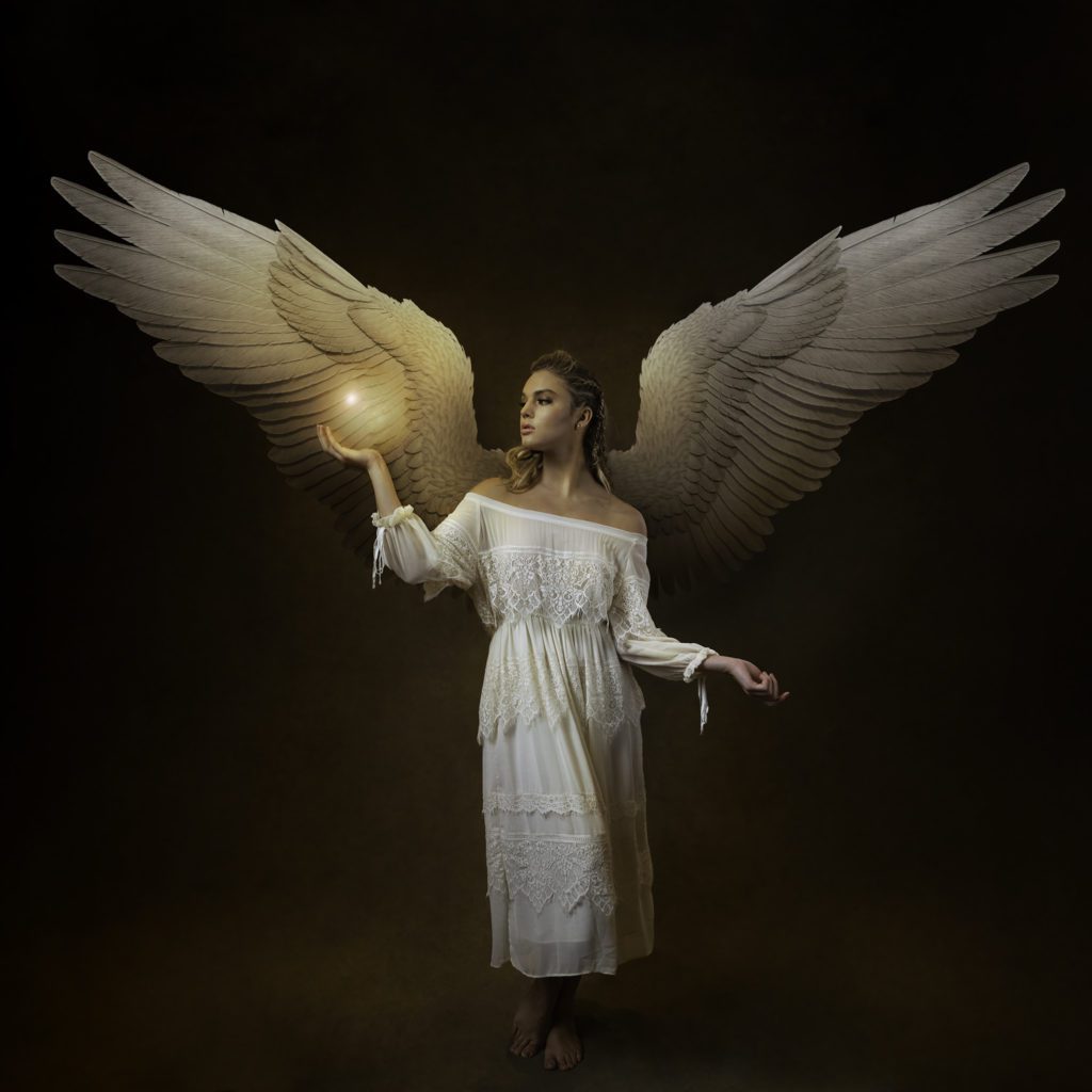 Feather Wing Overlays