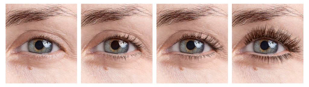 The Eyelash Collection