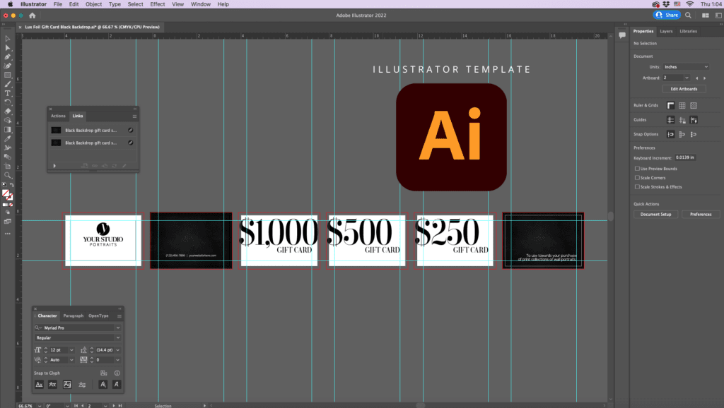 Illustrator Preview BLACK — The Portrait Masters