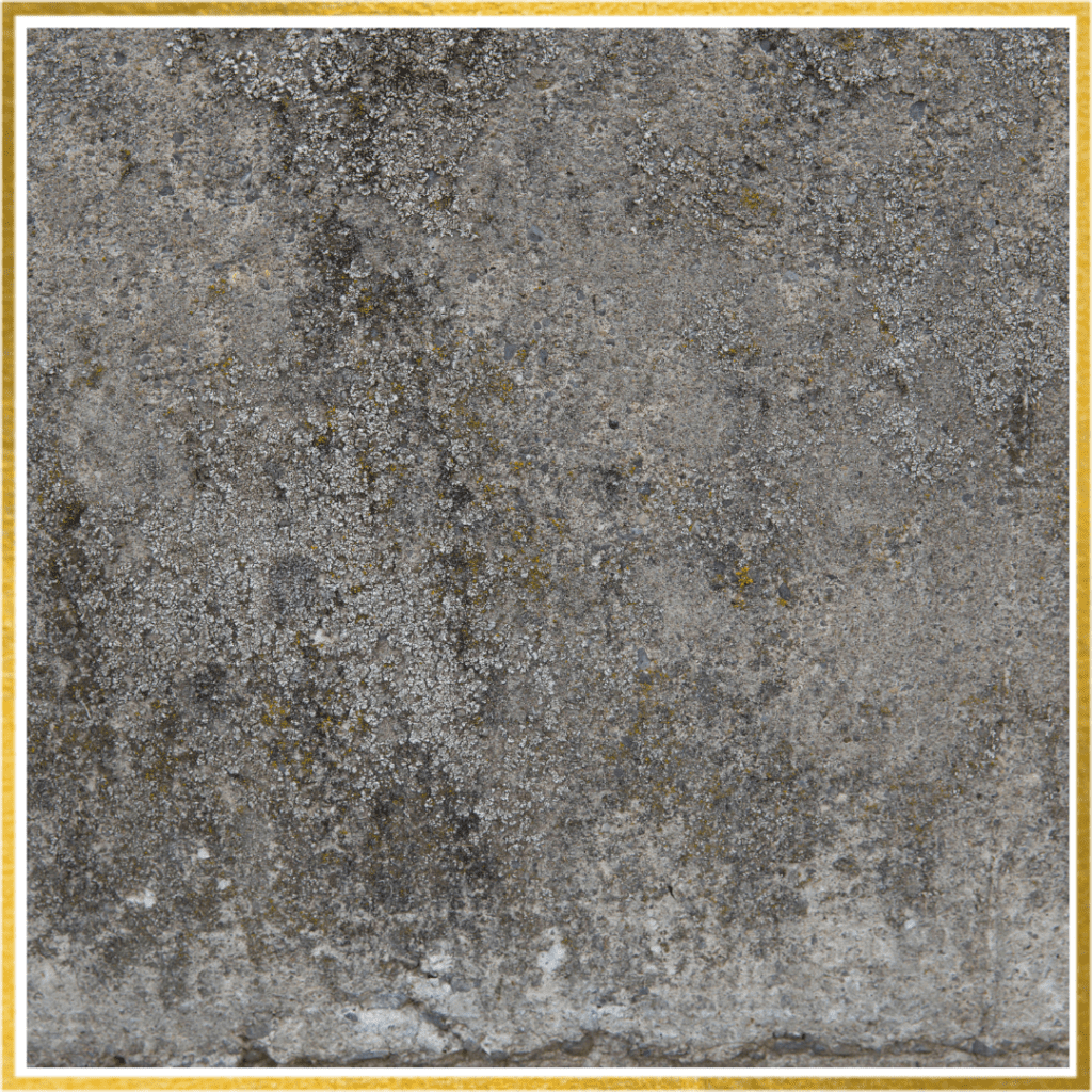 Alana Lee's Texture Overlay