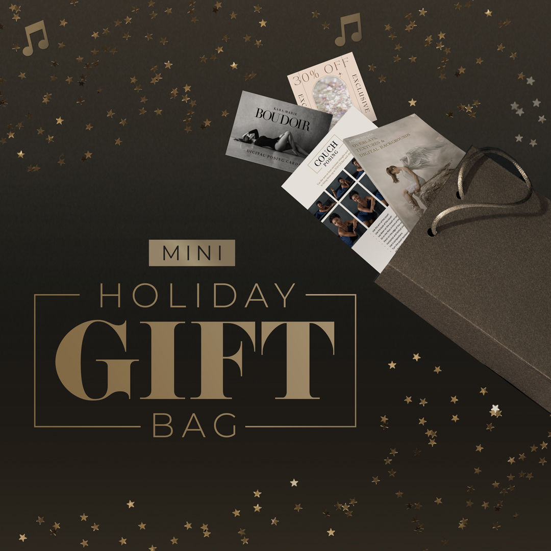 Mini Holiday Gift Bag
