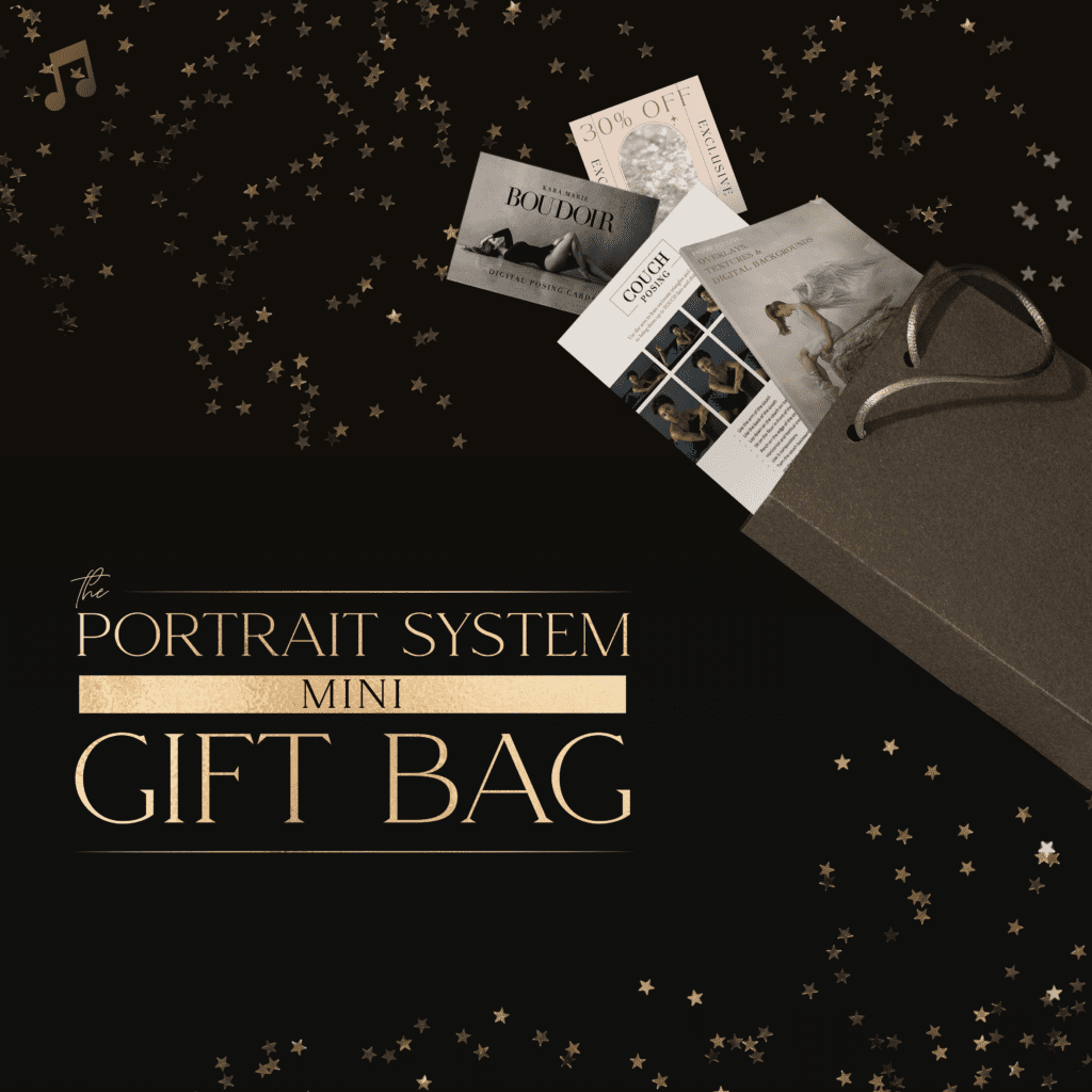 The Portrait System Mini Gift Bag