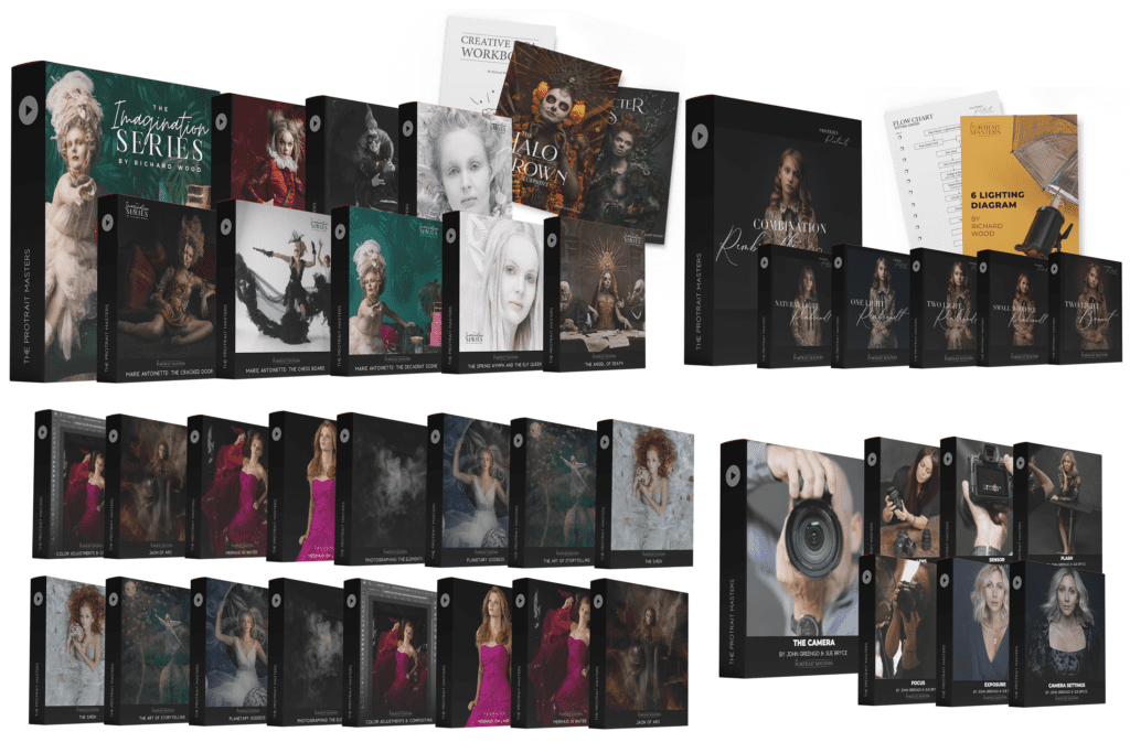 Portrait Artistry Bundle