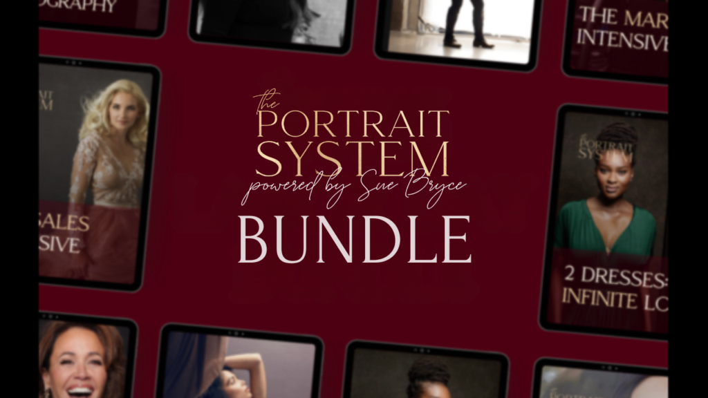 The Portrait System Bundle